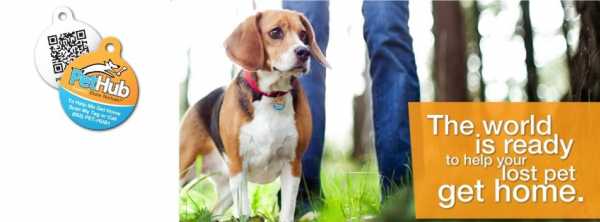 PetHub Adds Toll Free U.S. Hotline to Digital ID Pet Tags for 24/7 ...